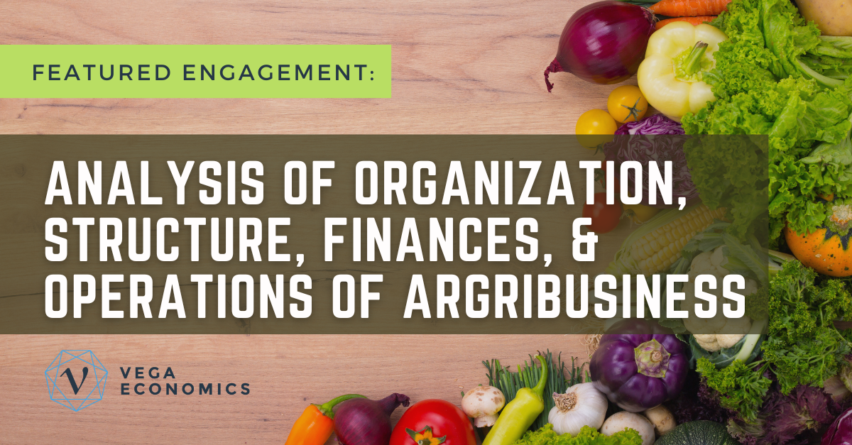 Featured Engagement: Analysis of the Organization, Structure, Finances ...
